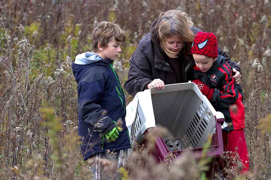 Our mission – Toronto Wildlife Centre
