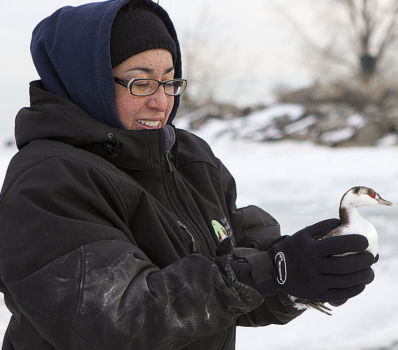 Staff – Toronto Wildlife Centre